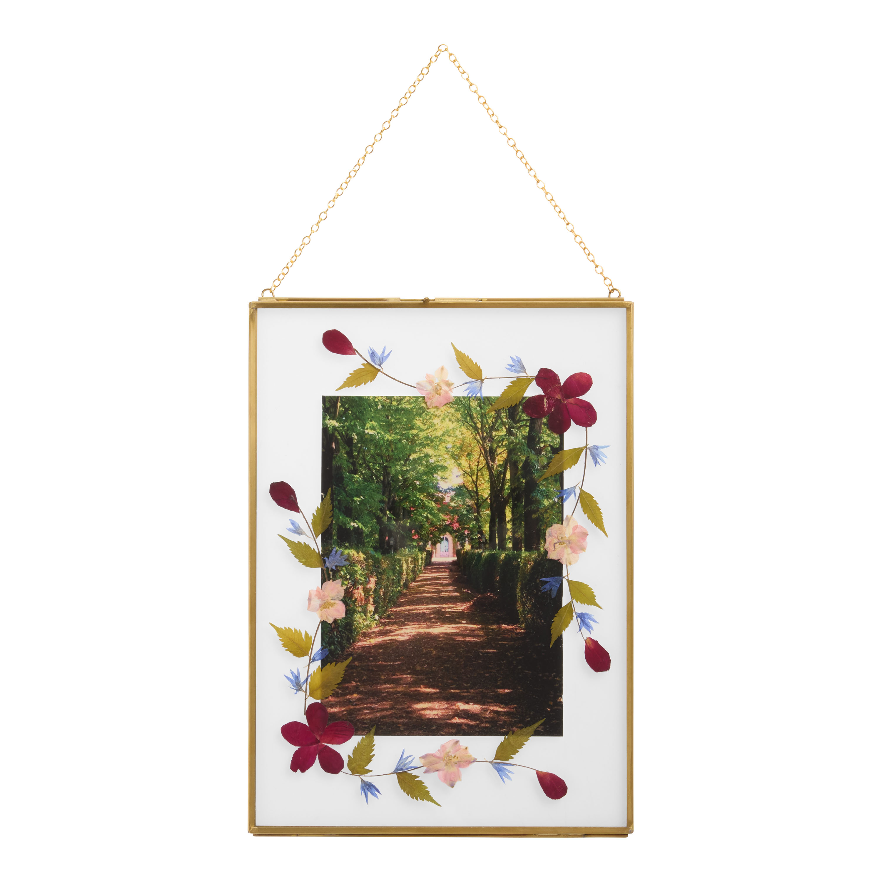 Brass Pressed Flower Wall Frame - World Market