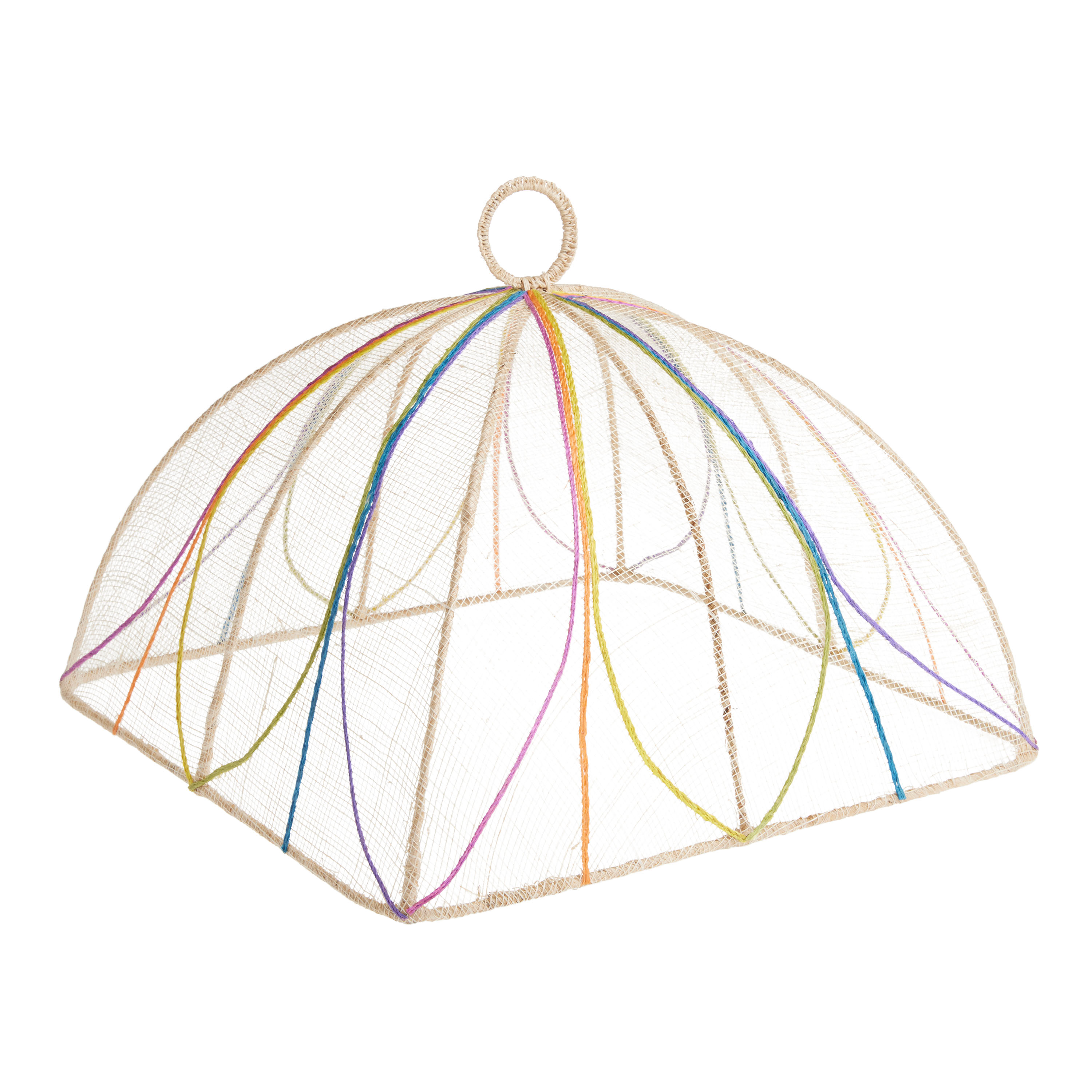 Square Rainbow Stripe Mesh Food Dome - World Market