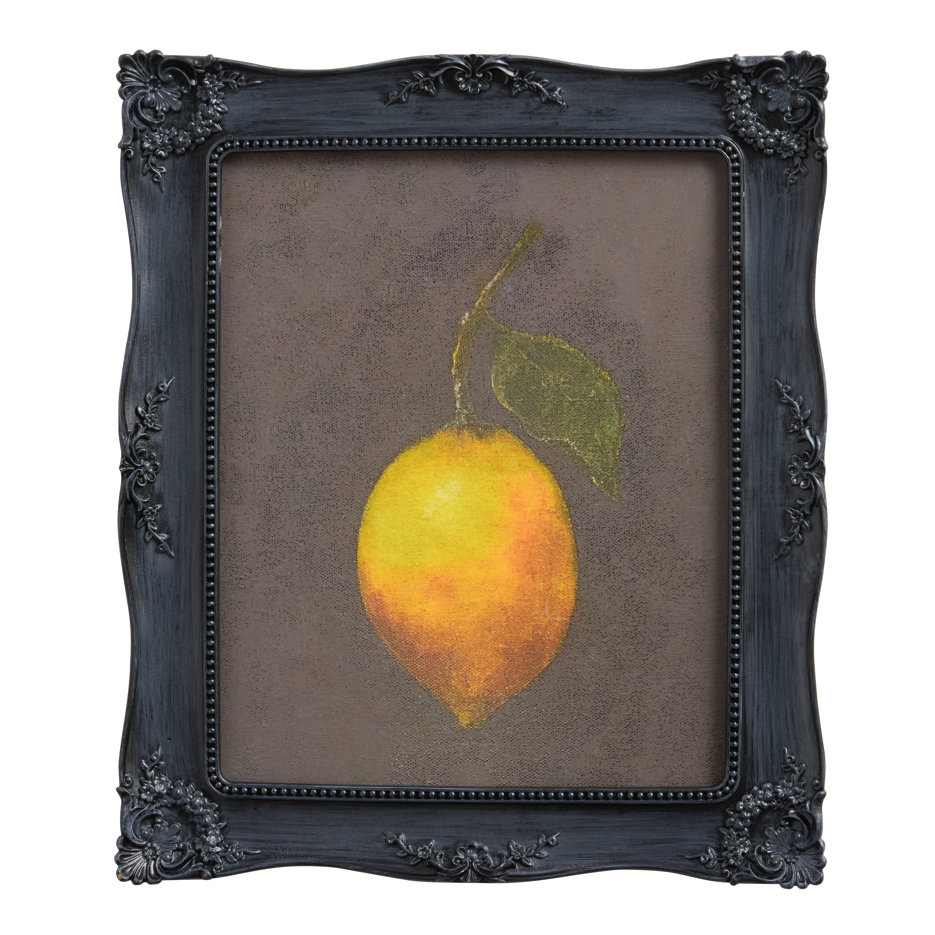 Hanging Lemon by Melissa Mary Jenkins Framed Wall Art - World Market