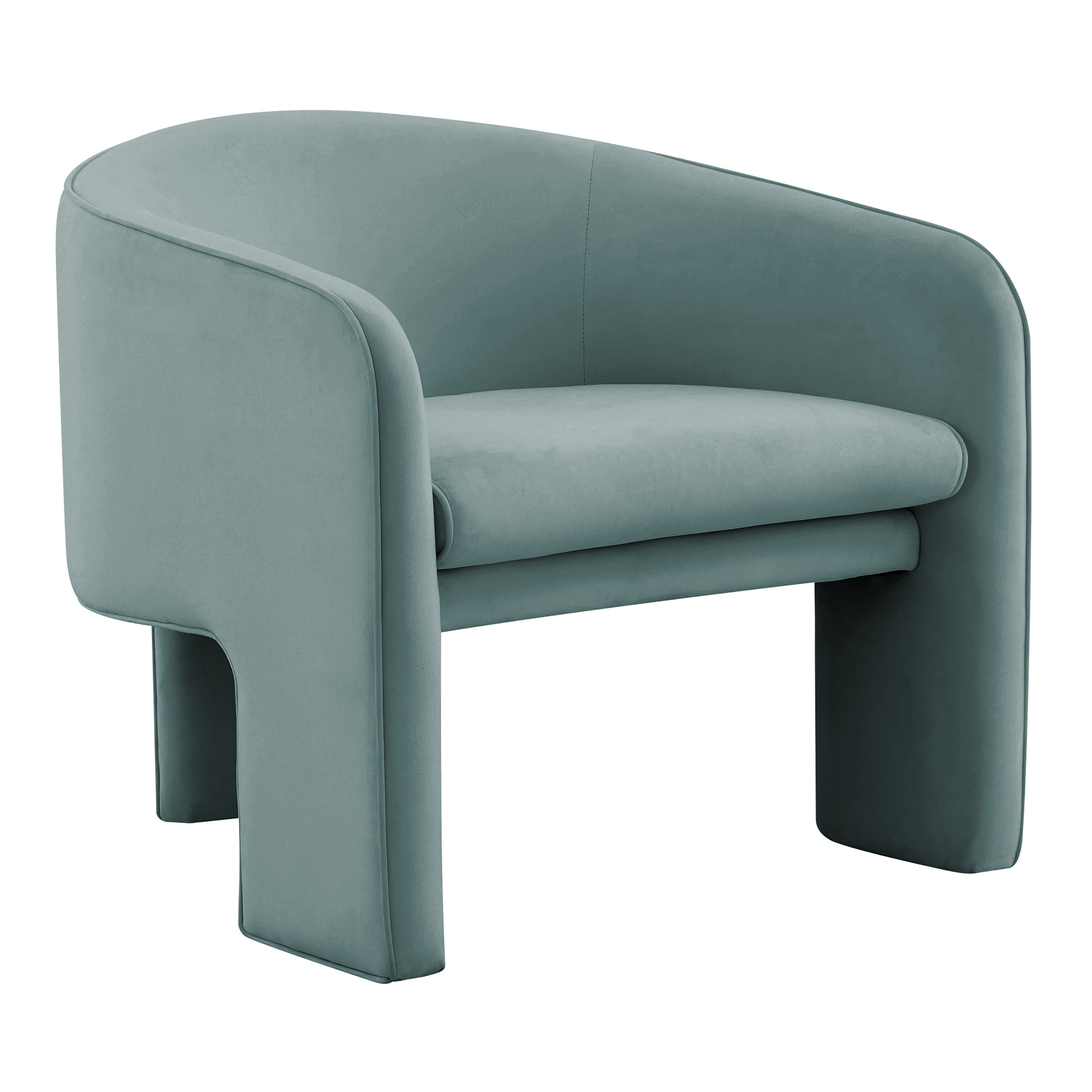 Alturus Velvet Upholstered Chair - World Market