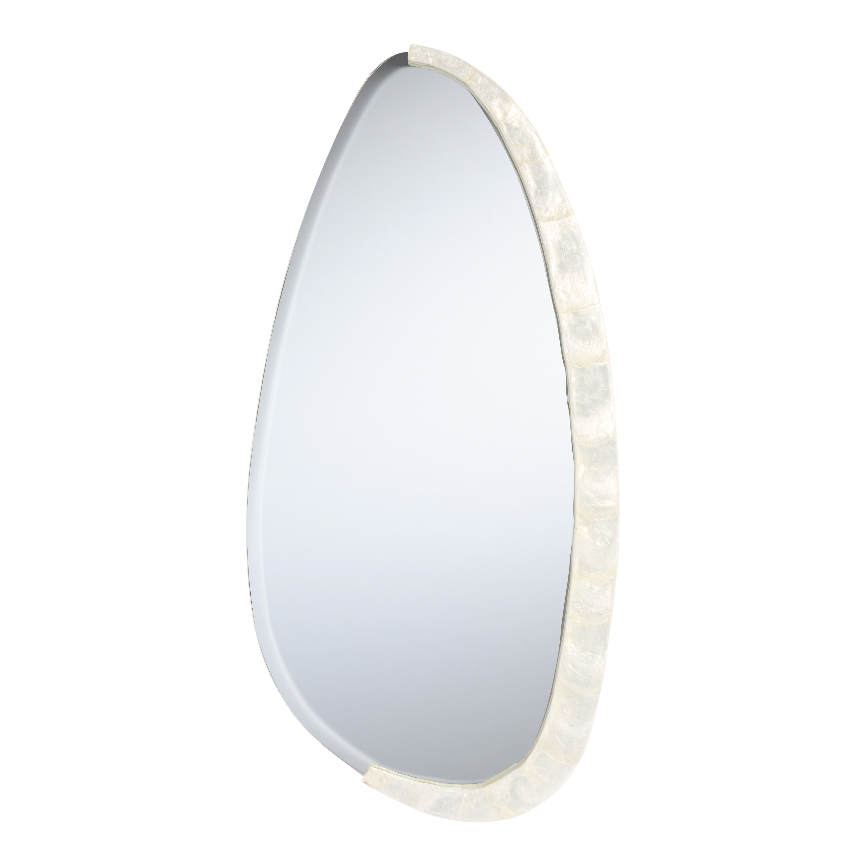 Capiz Shell Organic Wall Mirror - World Market