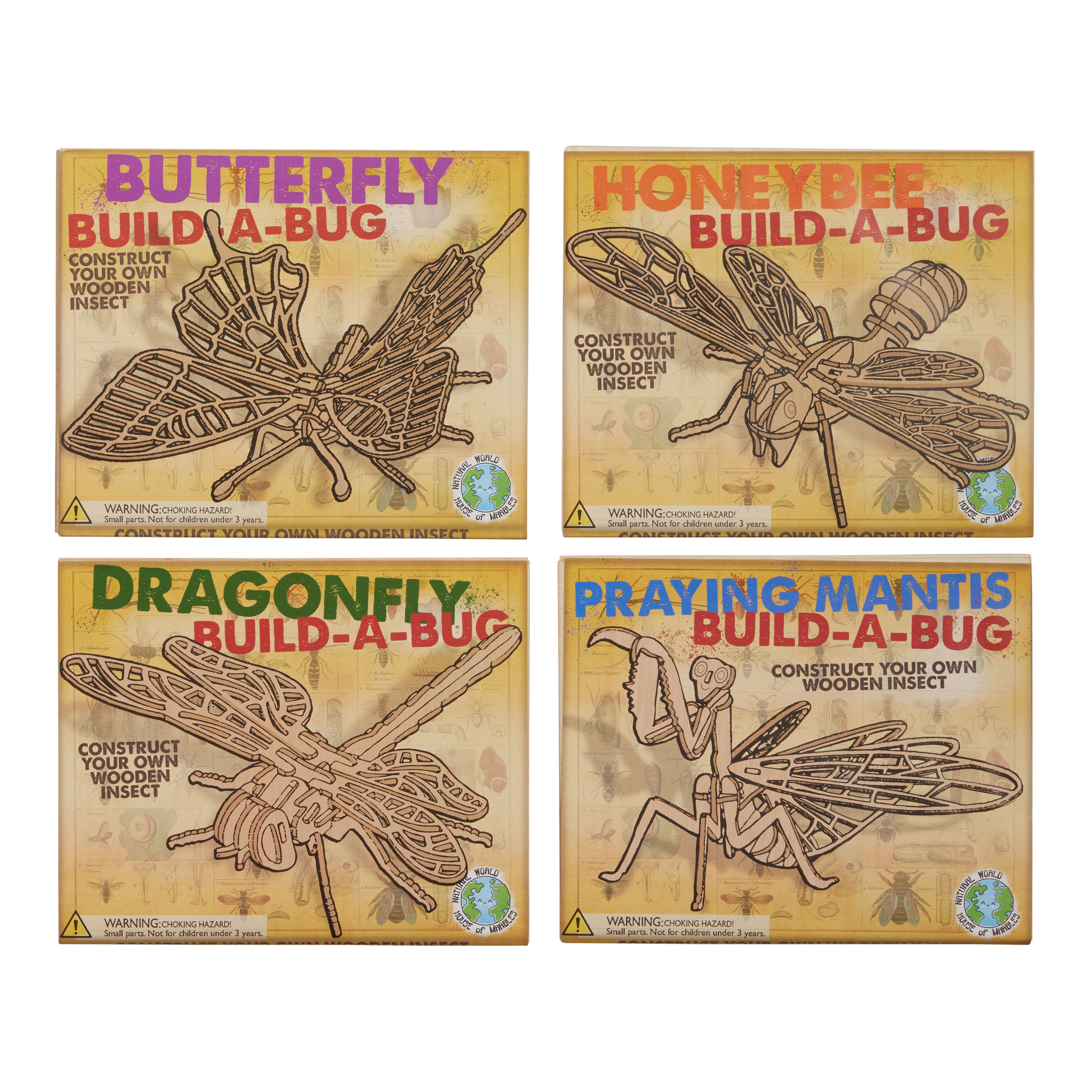 Build-A-Bug Wooden Insect Models Set of 4 - World Market