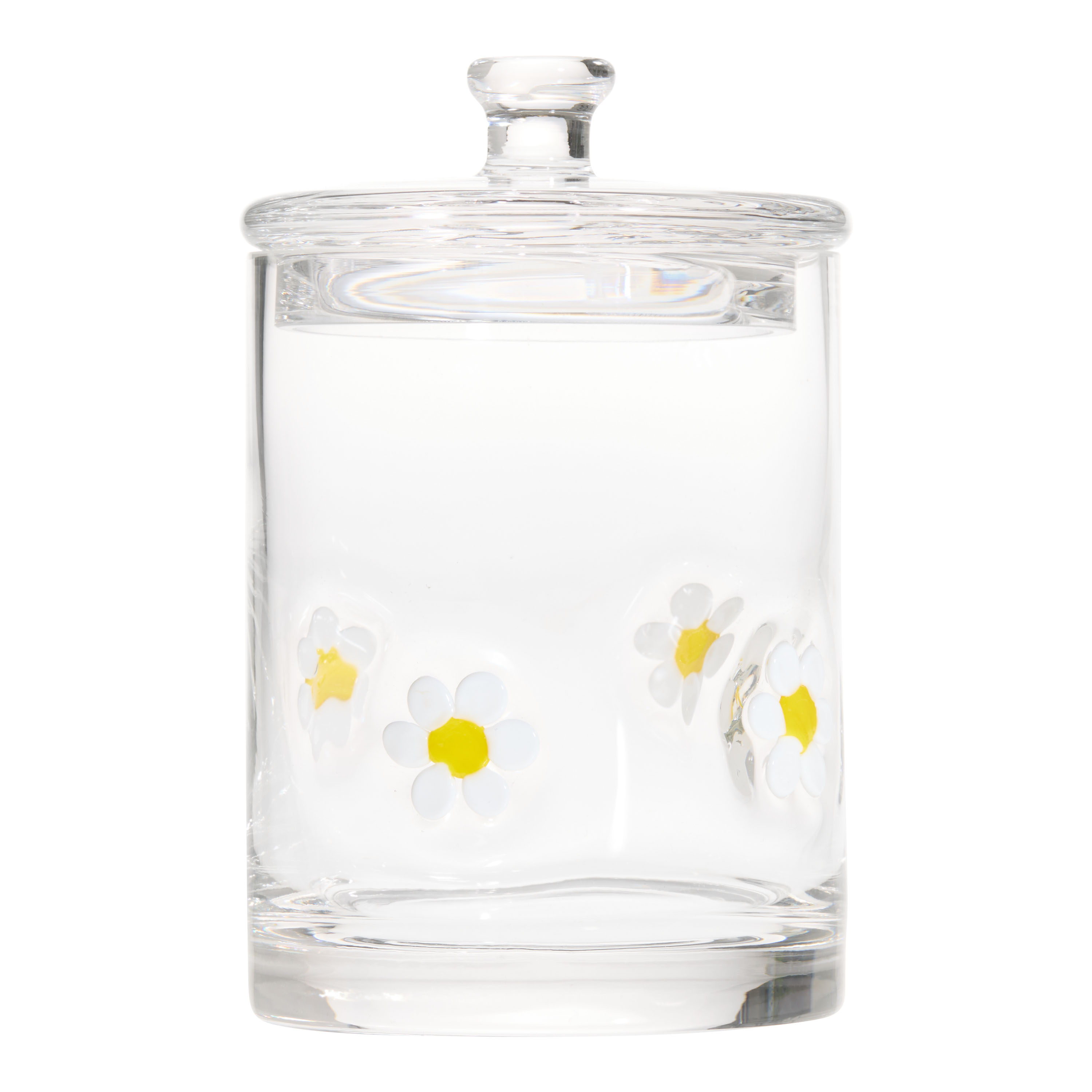 Charm Daisy Inlay Glass Canister with Lid - World Market