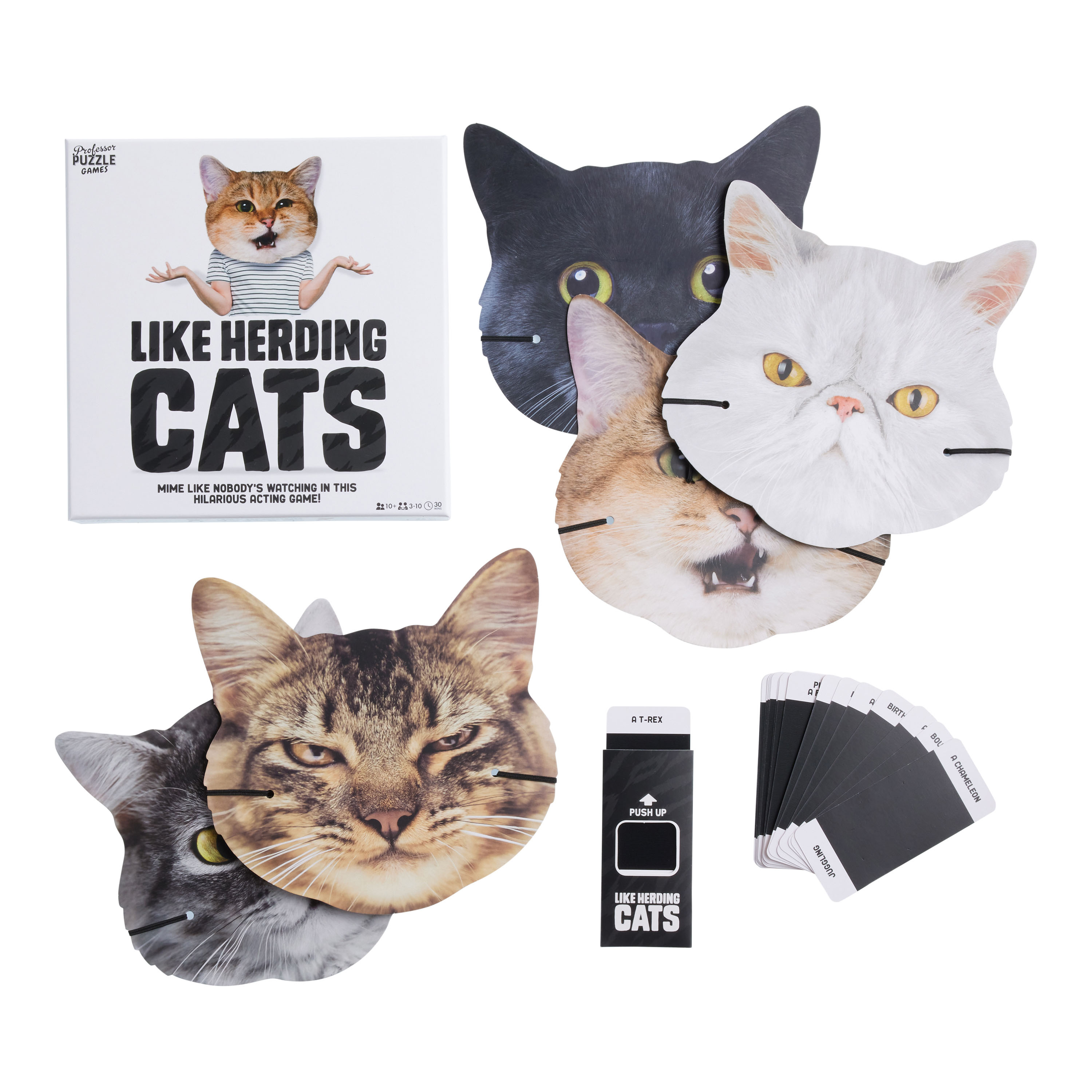 Professor Puzzle Like Herding Cats Charades Game - World Market